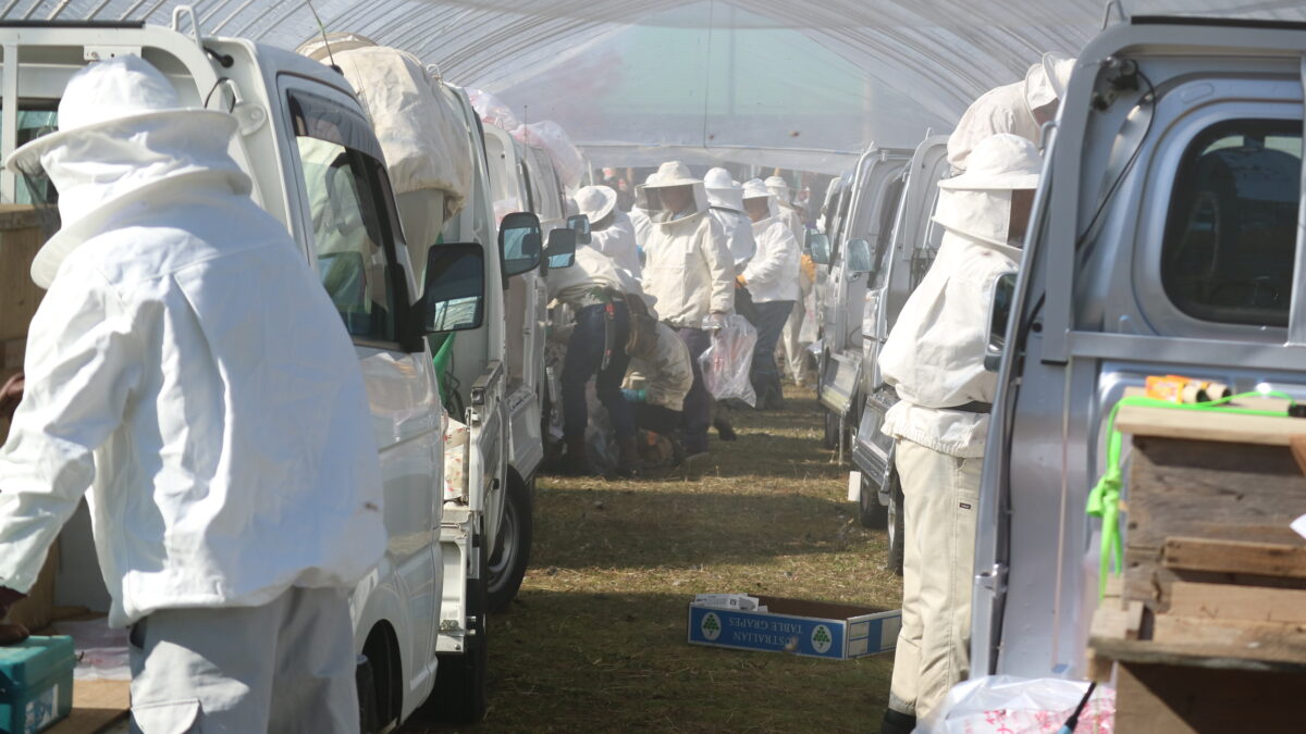 岐阜の奇祭。クロスズメバチの飛び交う「くしはらヘボまつり2023」再開！今年も例年通りの11月3日！ | 地域創生メディア Mediall ...